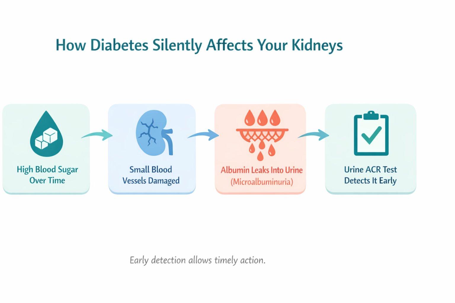 Urine ACR Test: Early Kidney Damage in Diabetes